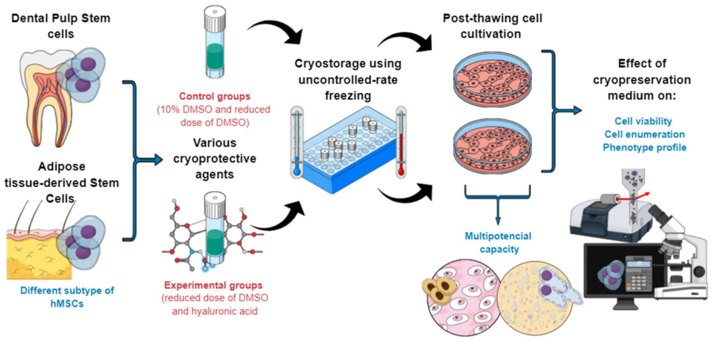 The Global Landscape of Stem Cell Therapy